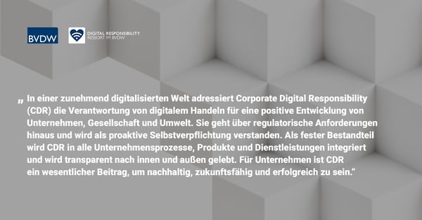 CDR bei Kammann Rossi - Corporate Digital Responsibility Logbuch #1